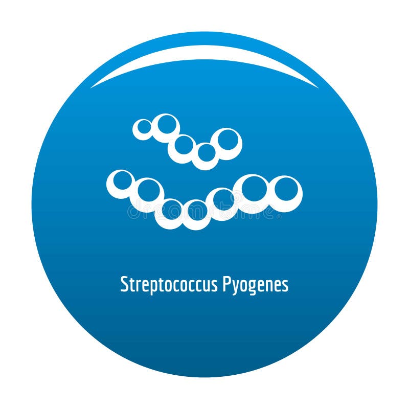 Streptococcus Pyogenes, Pathogen. Spherical, Gram-positive Bacteria ...