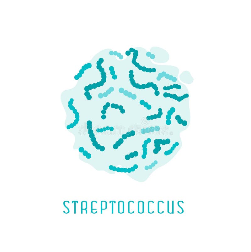 Streptococcus Pyogenes Image Stock Vector - Illustration of ...