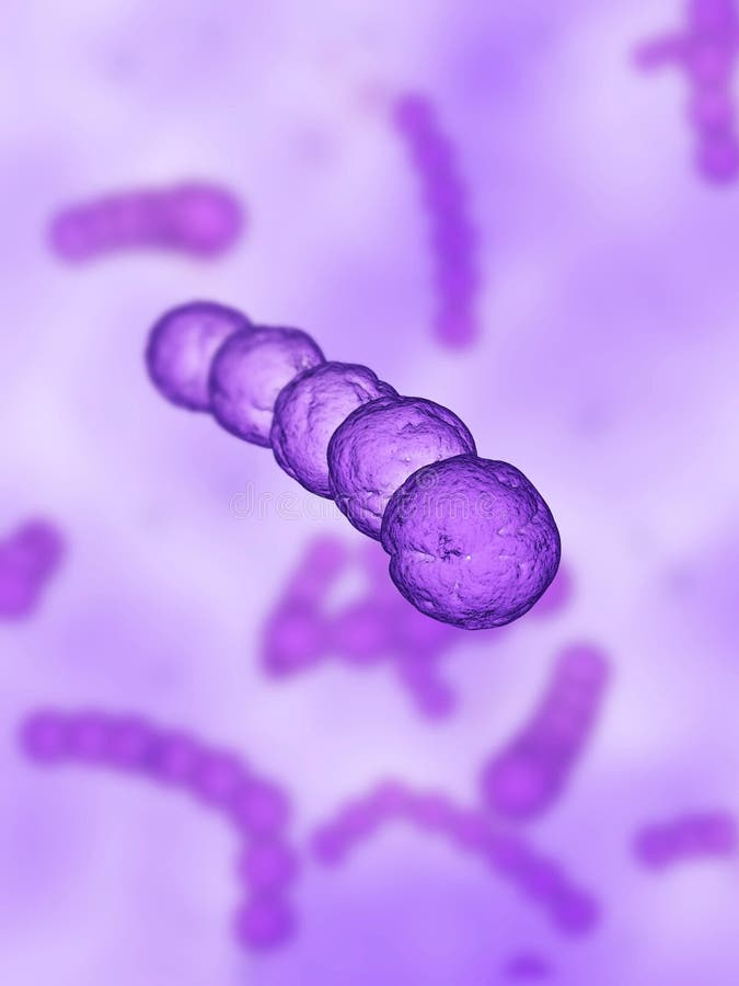 Streptocoque illustration stock. Illustration du bactéries - 13150063