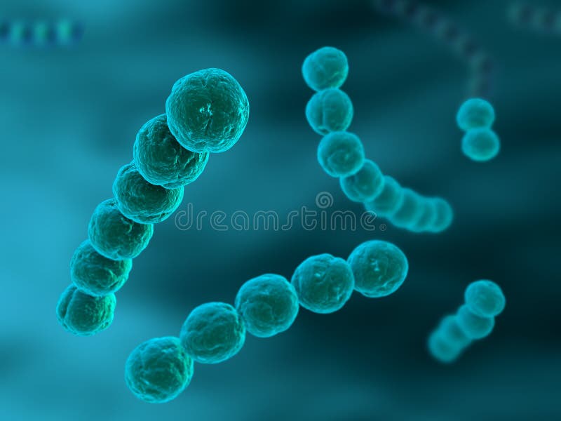 Streptocoque illustration stock. Illustration du cellulaire - 2231348