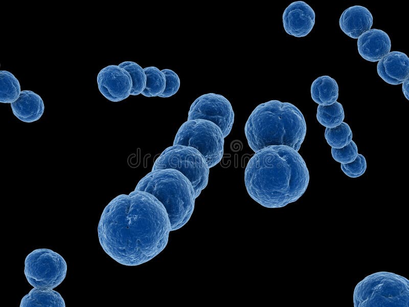 Streptocoques illustration stock. Illustration of causatif - 2462659