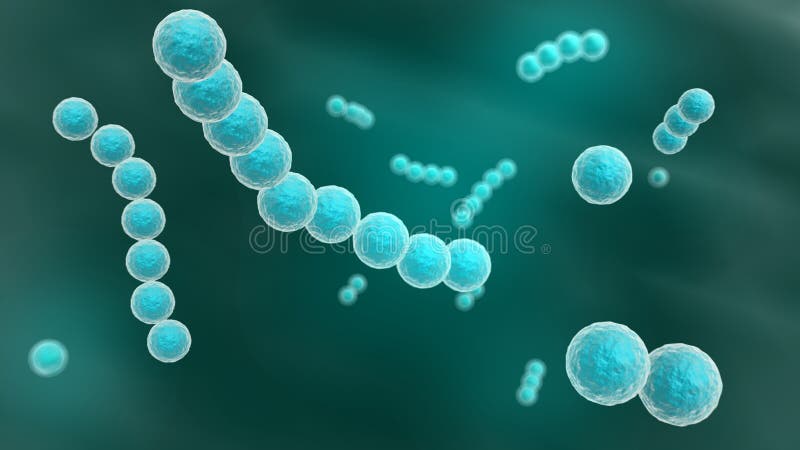 Streptocoque illustration stock. Illustration du science - 65868213