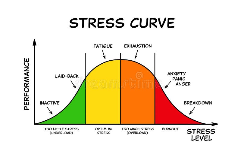 Stress Curve Graph with Different Stages Stock Illustration ...