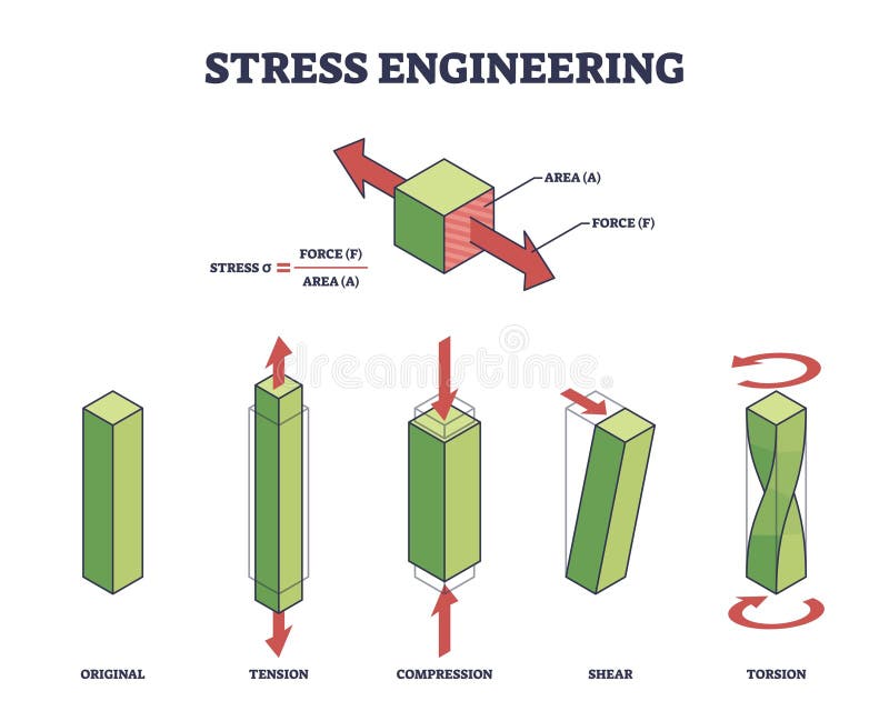 Compression Tension Stock Illustrations – 818 Compression Tension Stock ...