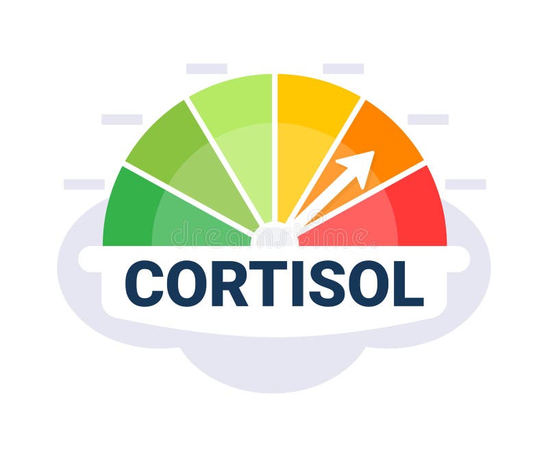 Stress Hormone Level Measurement with Color Coded Cortisol Meter Vector ...