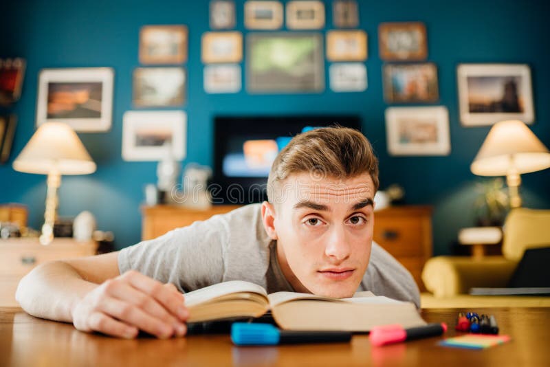 Stressed Lazy Student Home Studying.Online-only Learning Classes ...