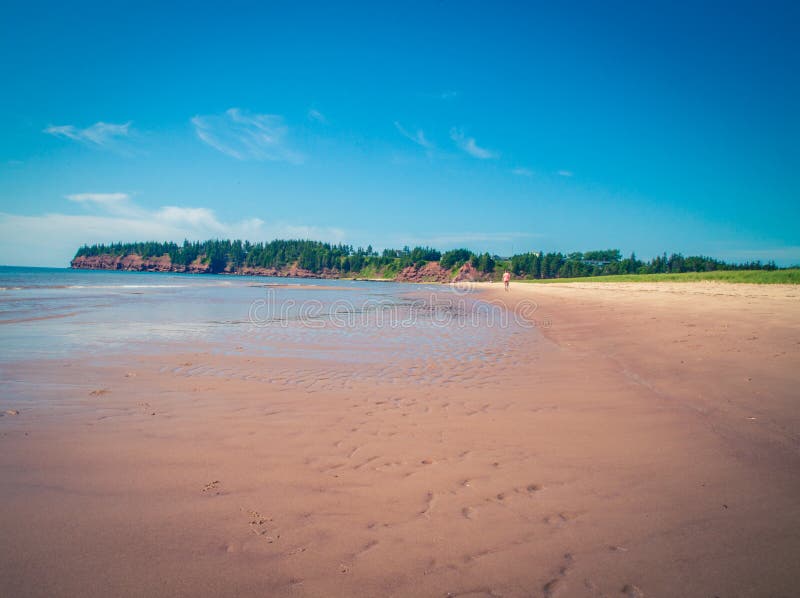 Stretch of Beach in Knysna, South Africa Stock Image - Image of ...
