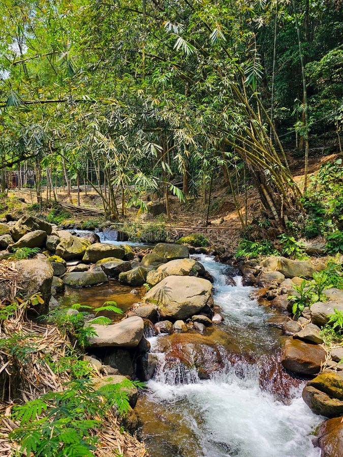 A Stretch of Large Rocks Along the River Stock Photo - Image of stretch ...