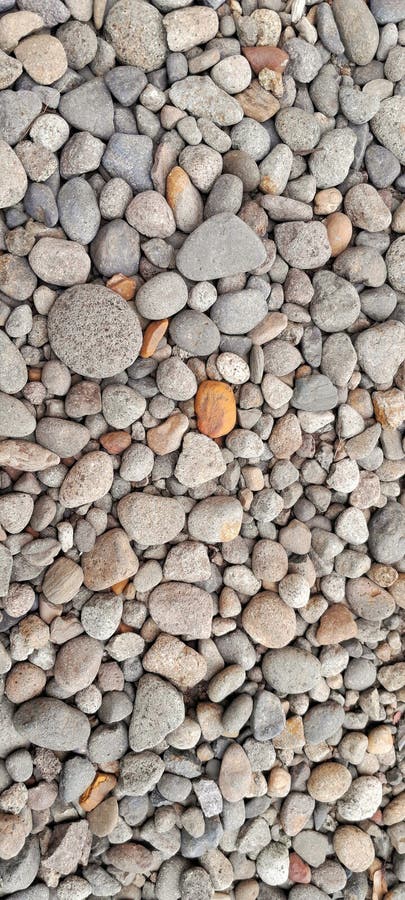A Stretch of Pebbles of Various Sizes Seen from Above Stock Photo ...