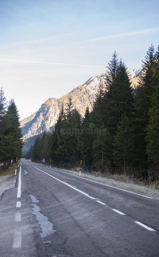 The Stretch of Road. View on the Trees in the Dolomites Stock Image ...