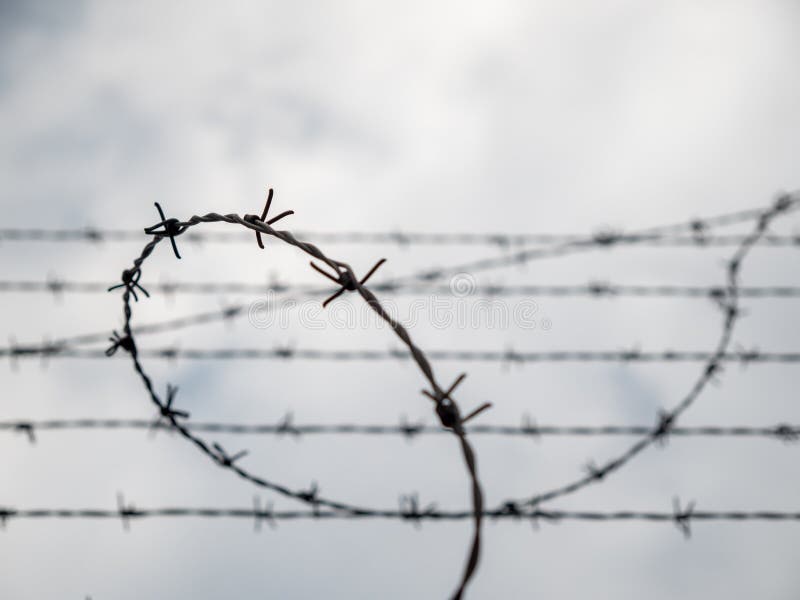 Stretched barbed wire. stock image. Image of steel, wire - 248819519