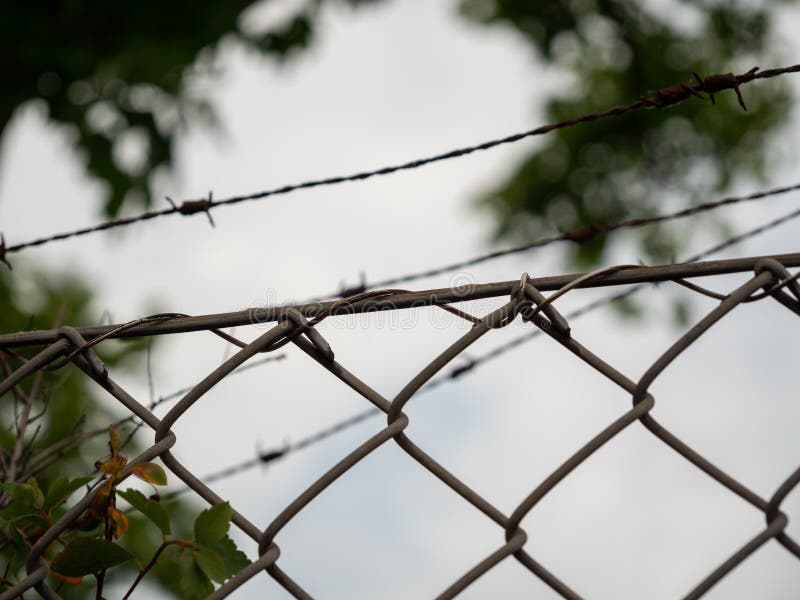 Stretched barbed wire. stock image. Image of camp, closeup - 248819811