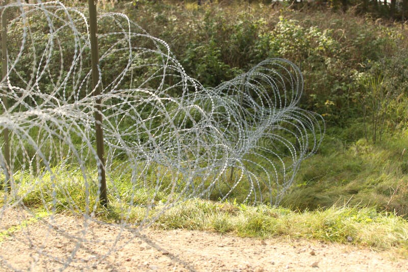 Stretched Barbed Wire. Fence on the Ground Stock Photo - Image of guard ...