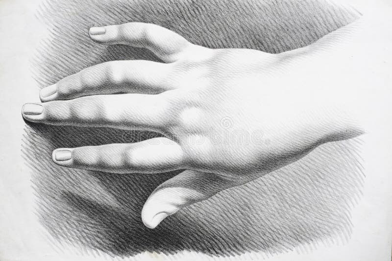 Stretched Hand Seen from Above, Study in Black and White Stock ...