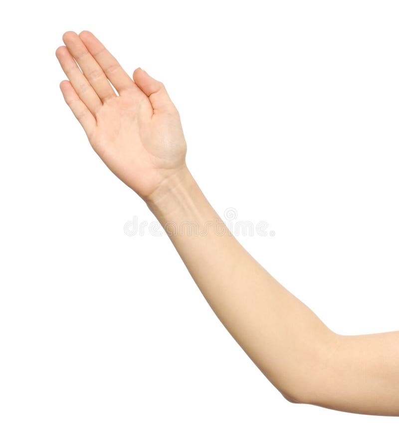 Woman`s Stretched Hand with Open Palm Stock Image - Image of female ...