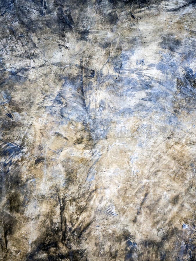 Stretched skin of a dead stock photo. Image of paper - 134271706