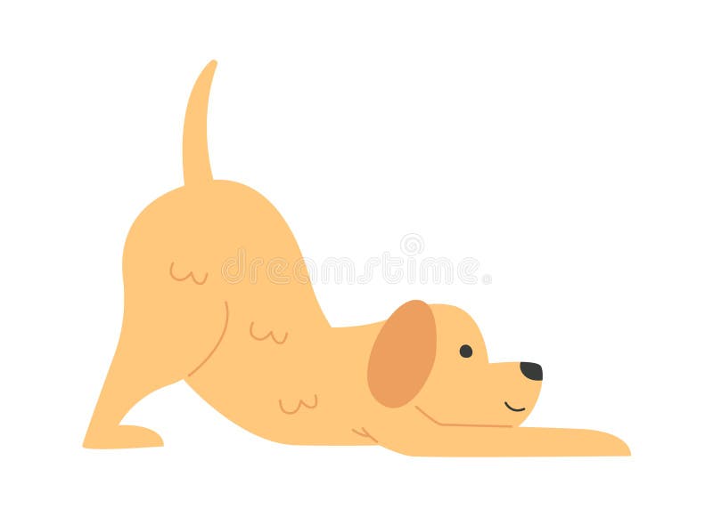Stretching Dog Animal stock vector. Illustration of puppy - 277009108