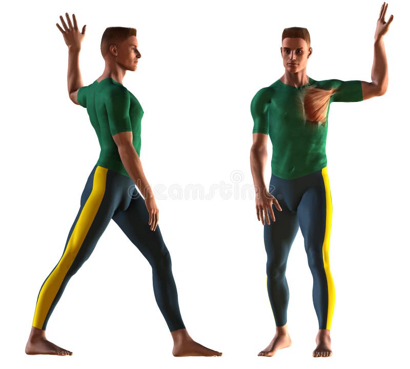 NFL Training Camp, Workout, Exercise Editorial Stock Photo - Image of ...