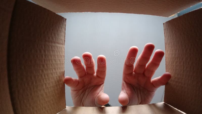 Stretching Hands into the Cardboard Box for Grab Something Stock Image ...