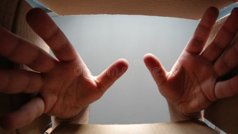 Stretching Hands into the Cardboard Box for Grab Something Stock Image ...