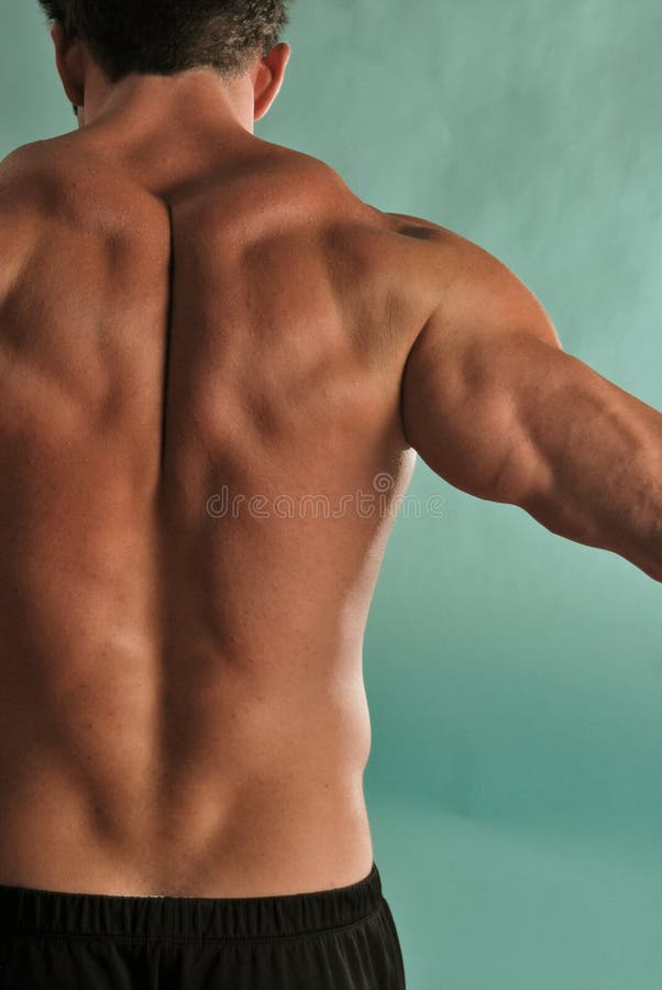 Muscle Back