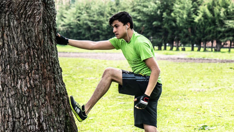 Stretching with a tree stock image. Image of ideas, practicing - 49585105