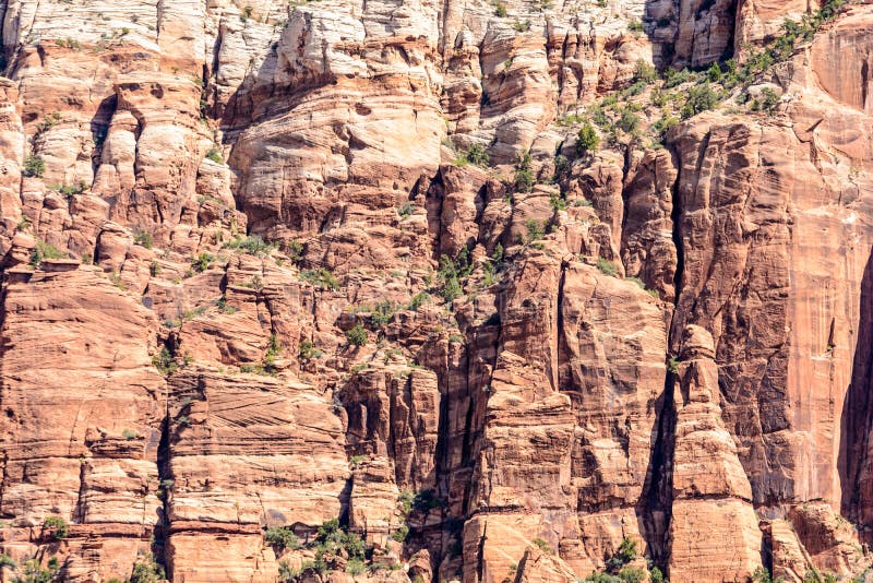 Striated mountain Zion stock image. Image of park, travel - 102912577
