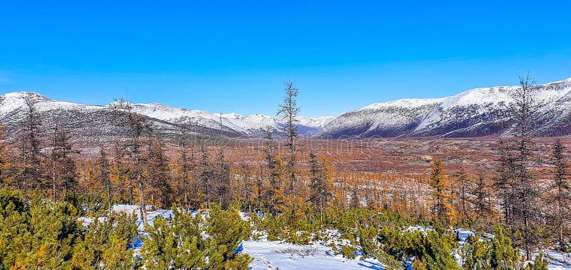 The Strict Beauty of the Chukchi Expanses. Stock Photo - Image of team ...