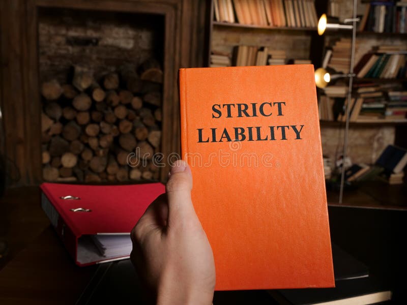 Strict Liability Rules Book in the Hand. Stock Image - Image of ...