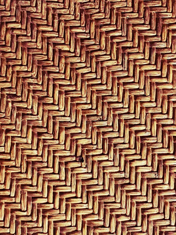 Strict Pattern of Dense Plexus Twigs of Thin Vines of Beige Color Stock ...