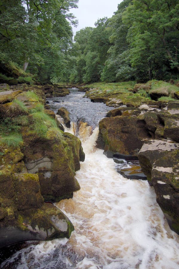 The strid stock photo. Image of wharfe, skipton, rocks - 77320426