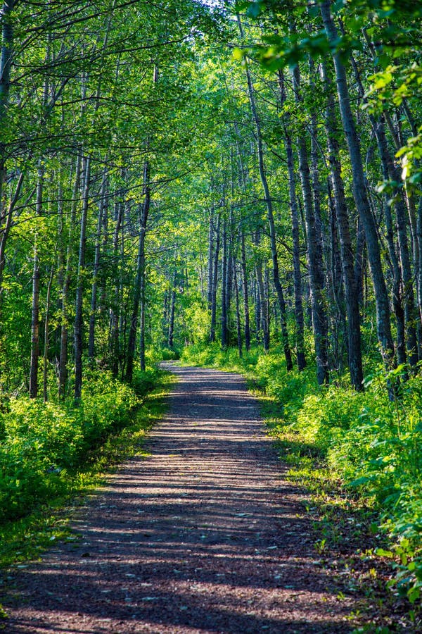 Stright forward path stock image. Image of path, stright - 228924535