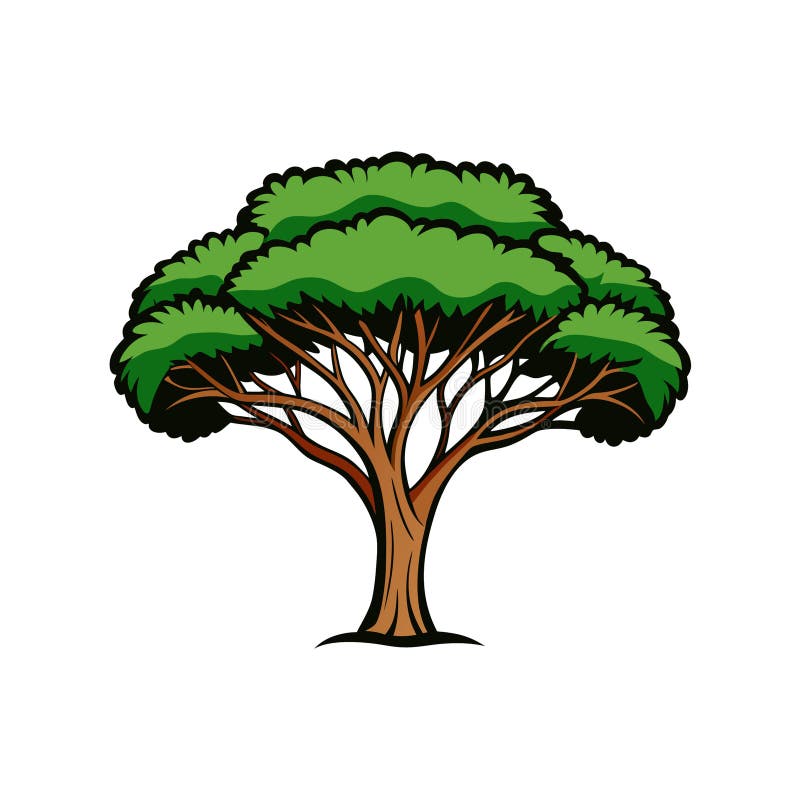 Striking Acacia Tree Artwork on White Stock Illustration - Illustration ...