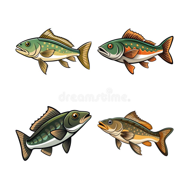 Striking Atlantic Cod Colorful Art Display Stock Vector - Illustration ...