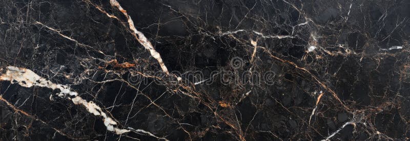 Striking Black Marble with Intricate White and Copper Veining Patterns ...