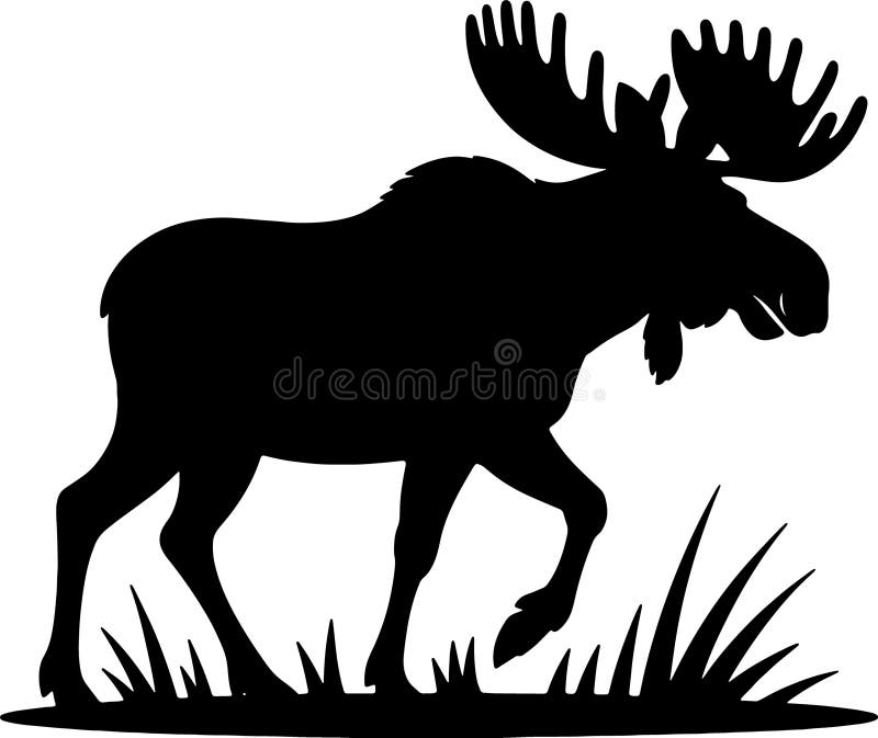Striking Black Moose Silhouette in Profile Walking through Grass on a White Background Stock ...