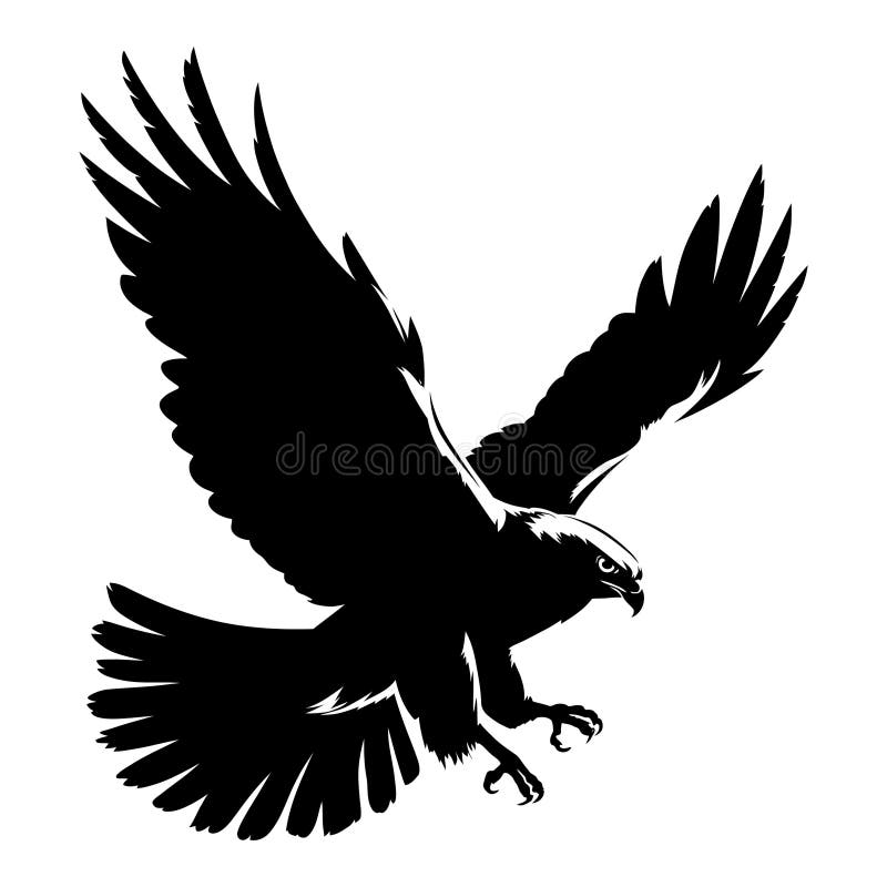 Hawk Silhouette Vector, Icon, Logo, White Background. Stock Vector ...