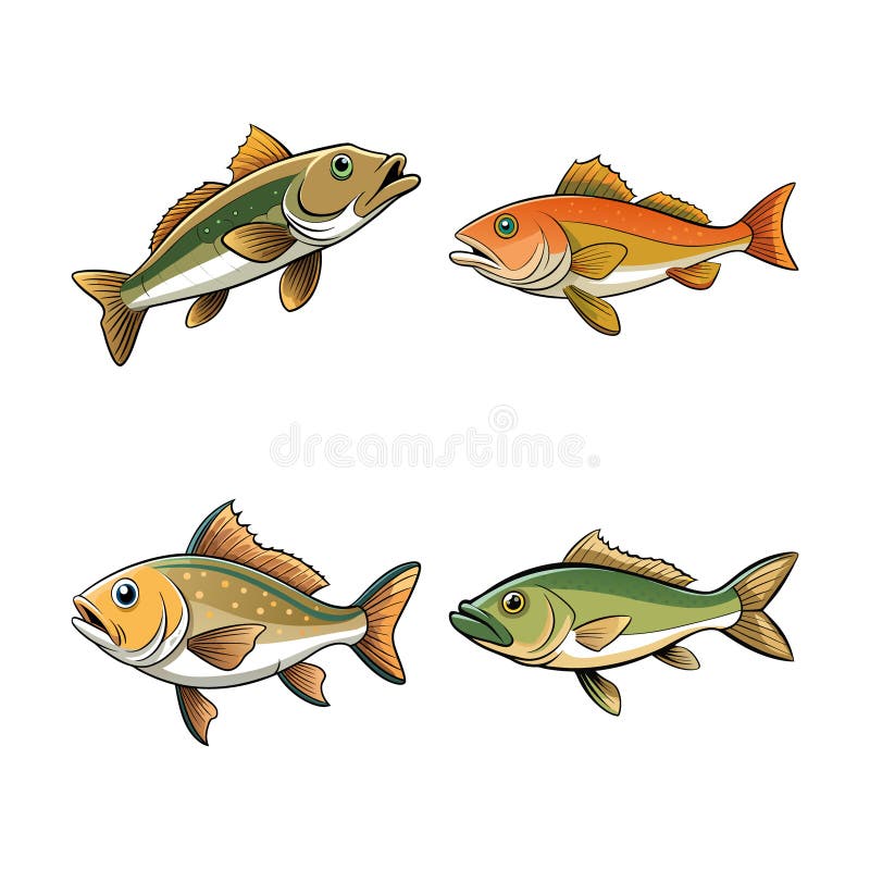 Striking Atlantic Cod Colorful Art Display Stock Vector - Illustration ...