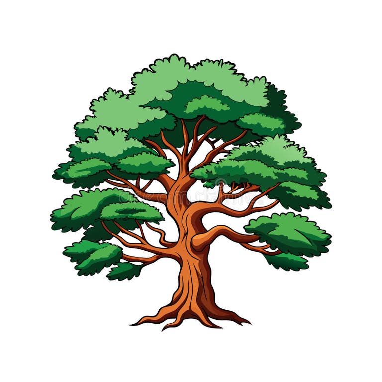 Bold Common Juniper Tree Illustration on White Background Stock ...