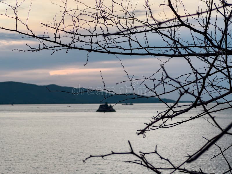 Bare Tree Branches Silhouetted Against the Sky Stock Image - Image of ...