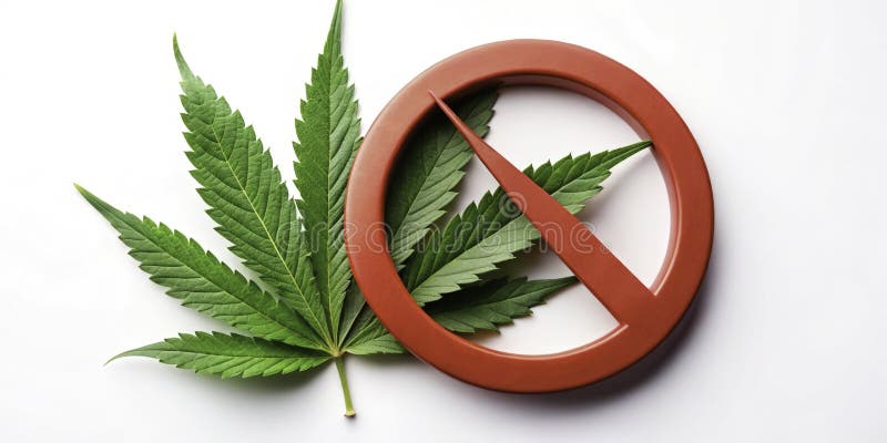 Promoting Responsible Cannabis Use a Powerful Visual for AntiSmoking ...