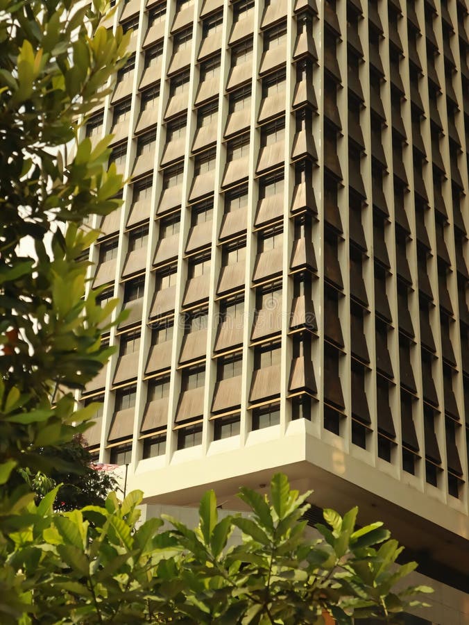 Modern High-Rise Building Facade with Green Foliage Stock Illustration ...