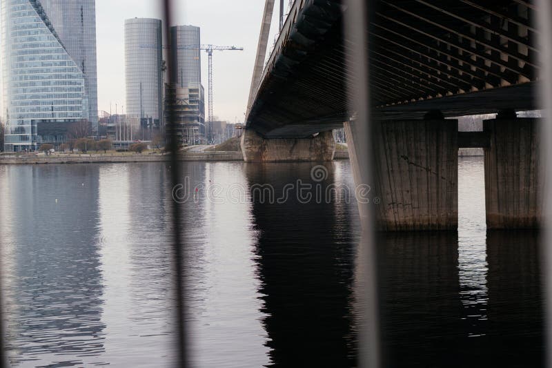 A Striking Perspective of a Cable-stayed Bridge Over a Calm River ...