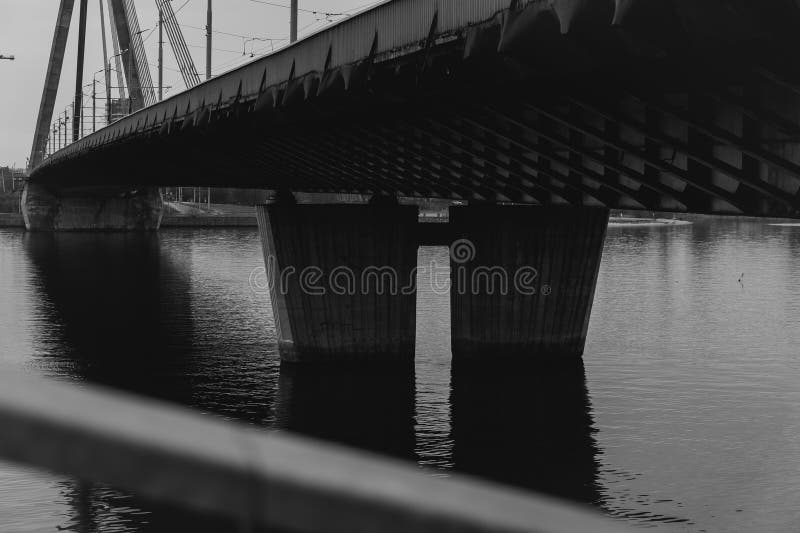 A Striking Perspective of a Cable-stayed Bridge Over a Calm River ...