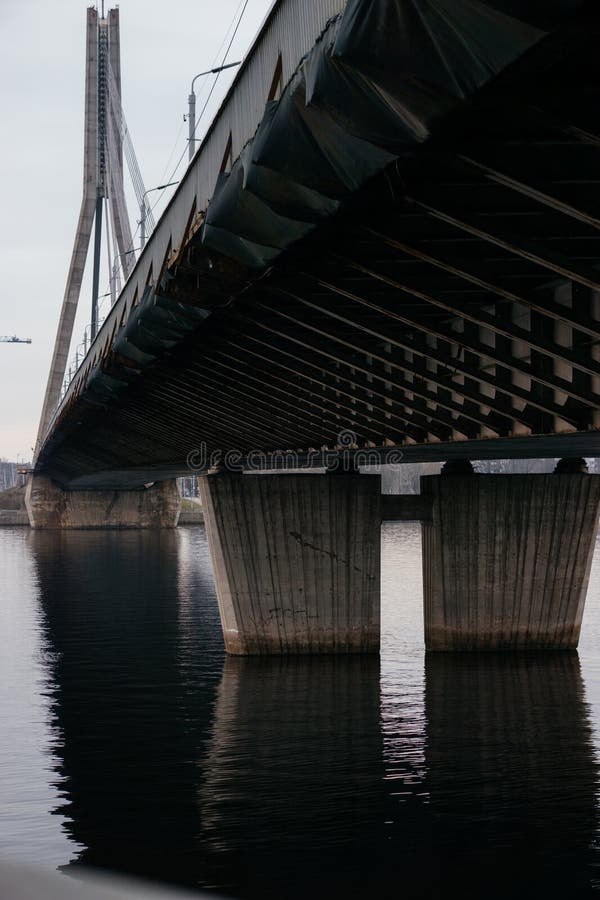 A Striking Perspective of a Cable-stayed Bridge Over a Calm River ...