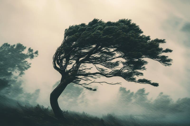 Striking Silhouette of a Wind-Swept Tree Against Stormy Skies Stock ...