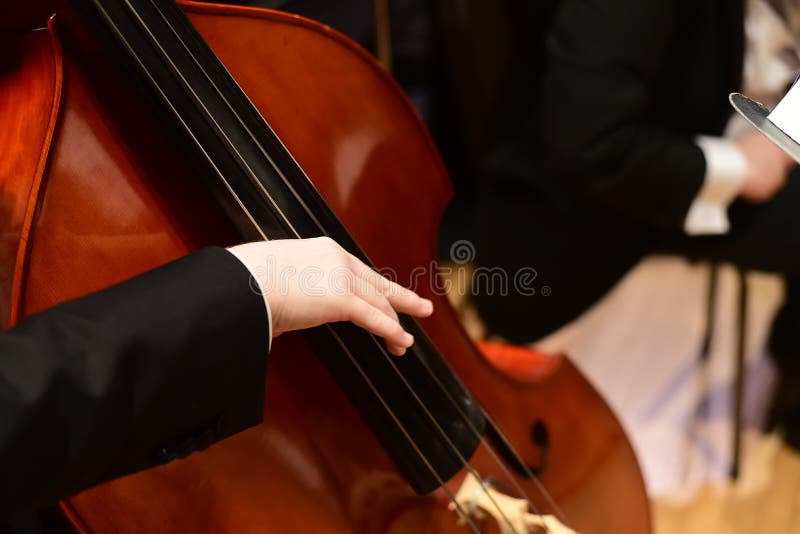 String Bass/Double Bass Player in Orchestra 2 Stock Image - Image of ... String Bass/Double Bass Player in Orchestra 2 Stock Image - Image of ...