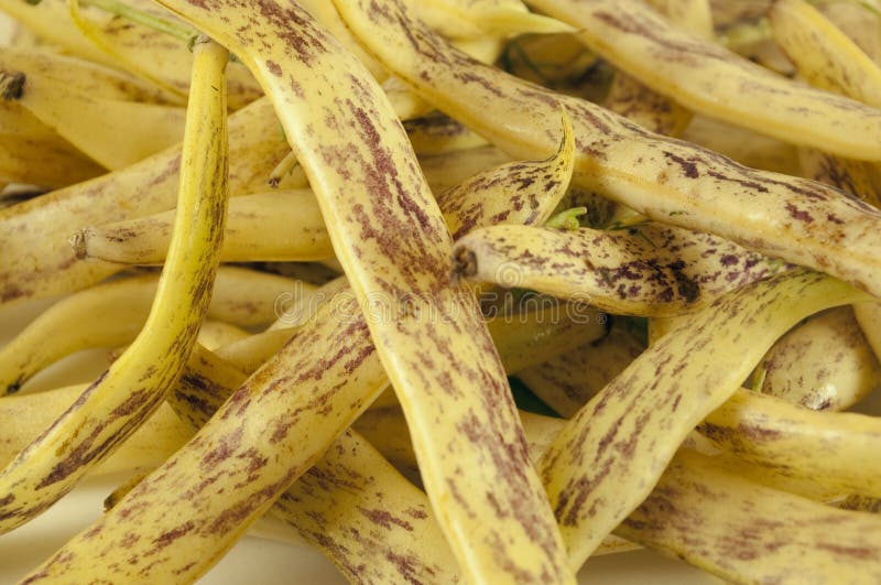 String bean closeup stock image. Image of eating, beans - 17087295