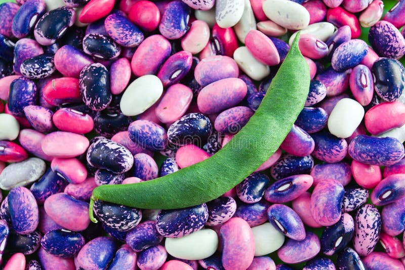 String bean stock image. Image of fresh, natural, beans - 26650757