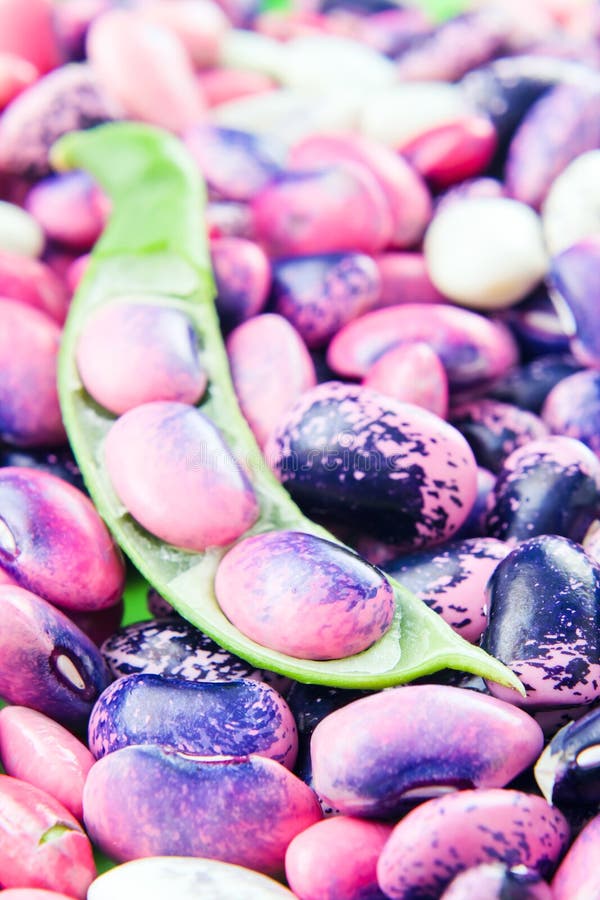 String bean stock photo. Image of colorful, motley, closeup - 26650782